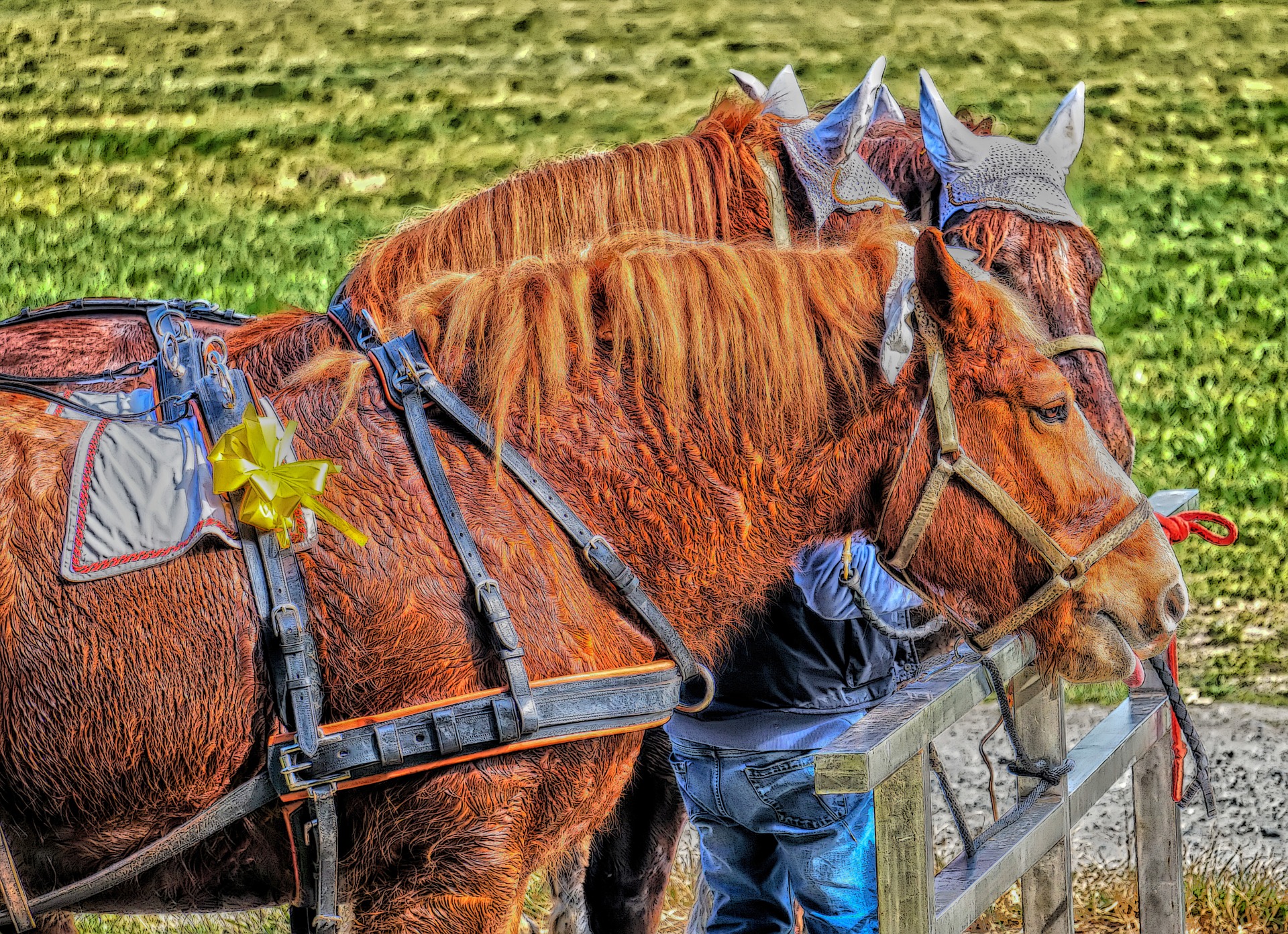 How Do Animals Keep Cool? | The Center for Hyperhidrosis