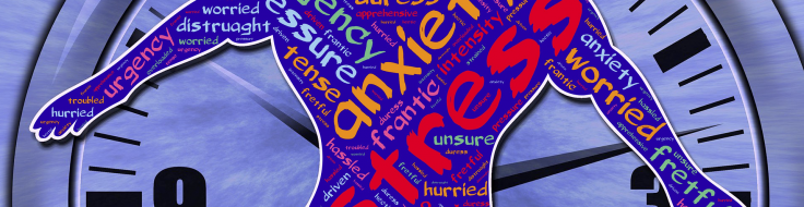 Signs of Nervousness & Nervousness Body Language | The Center for ...